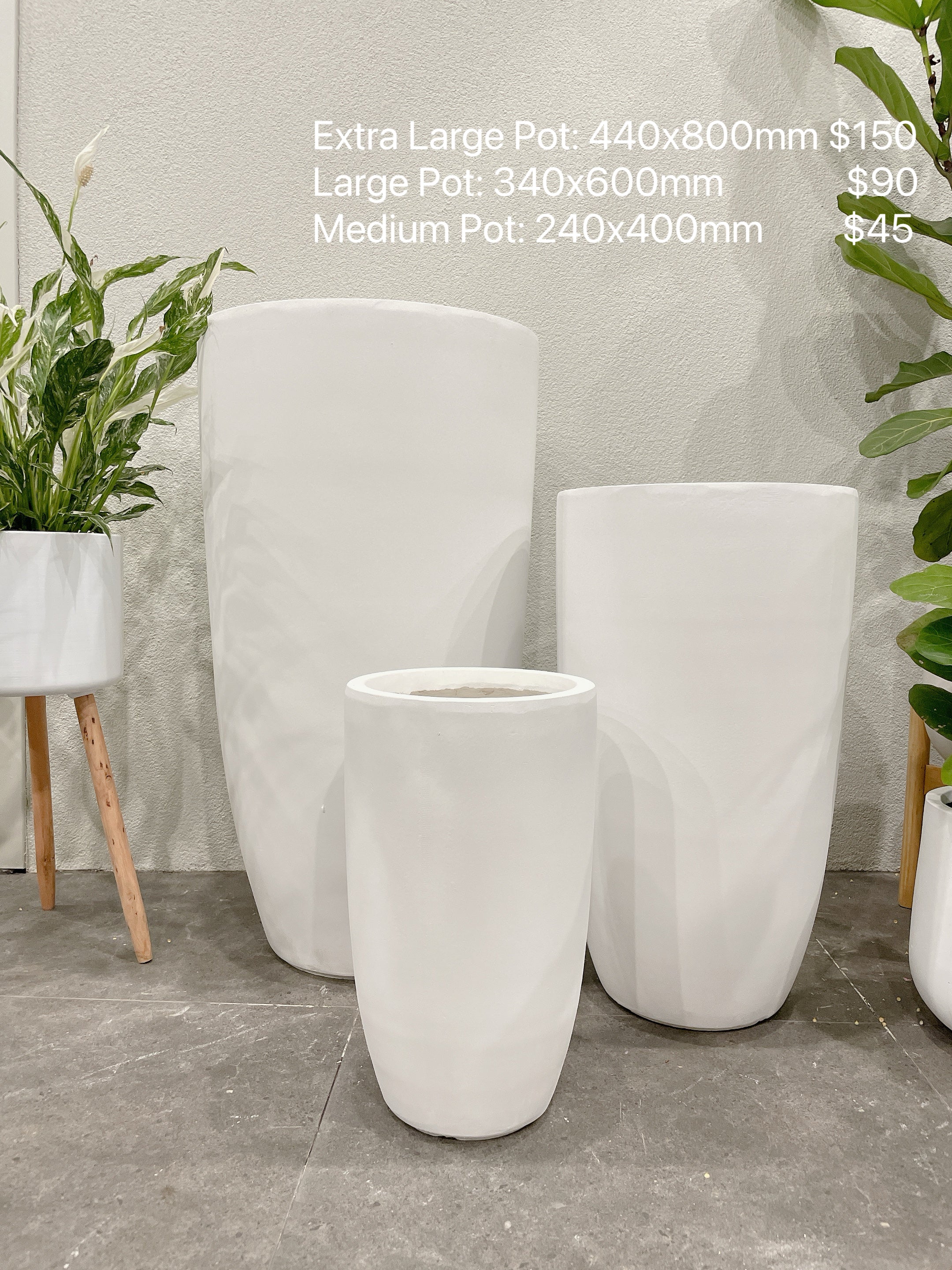 Bundle Set of 3 Winston U-Shape large White Fiberclay Pots various siz ...